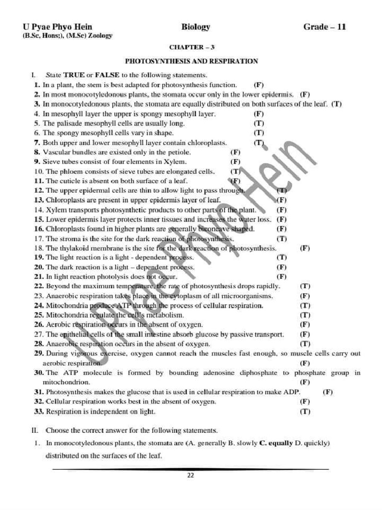 Bio C3 Questions and Answers | PDF