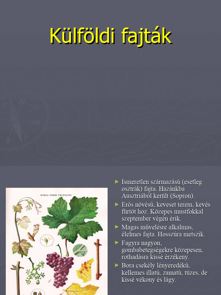 Külföldi fajták | PDF