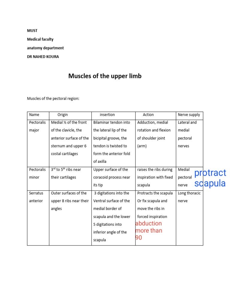 Anatomy Pdf Arm Elbow