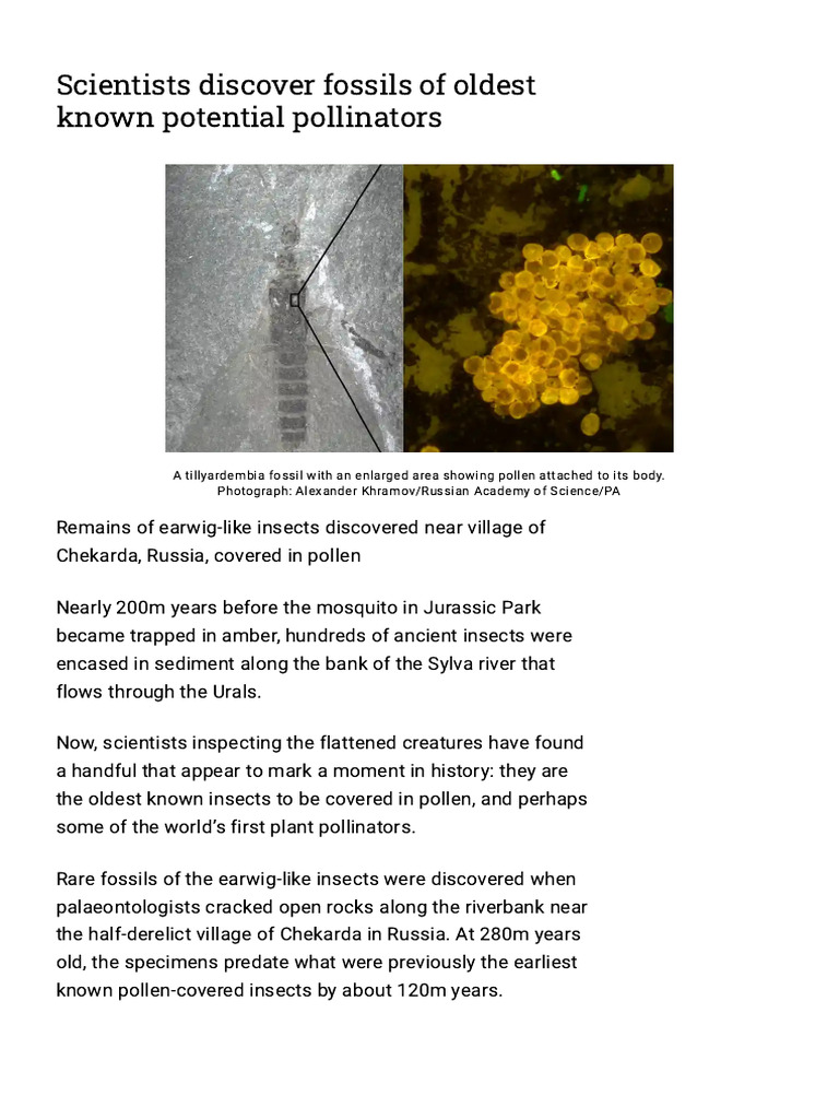 Scientists Discover Fossils of Oldest Known Potential Pollinator ...