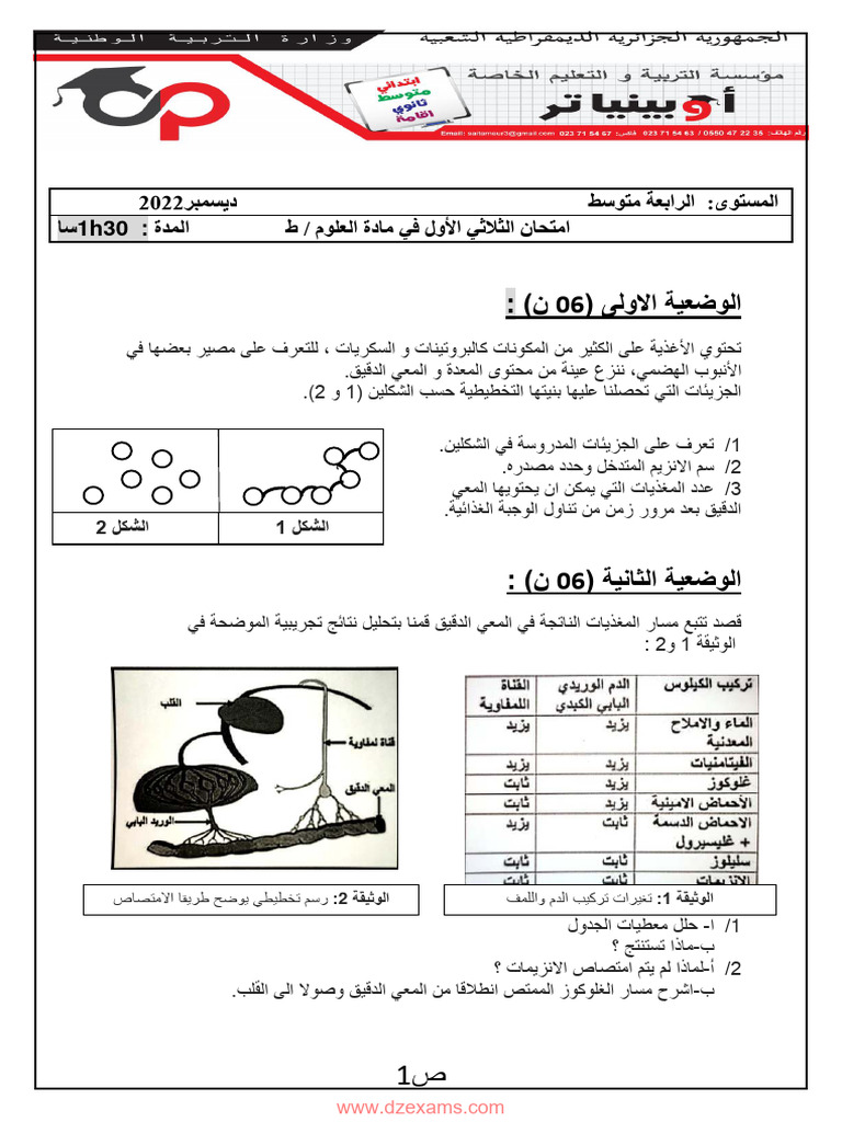 Dzexams 4am Sciences 895023 | PDF