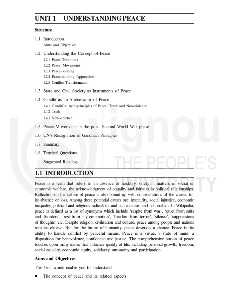 Gandhi's Principles of Peace and Conflict | PDF | Peacebuilding | Peace