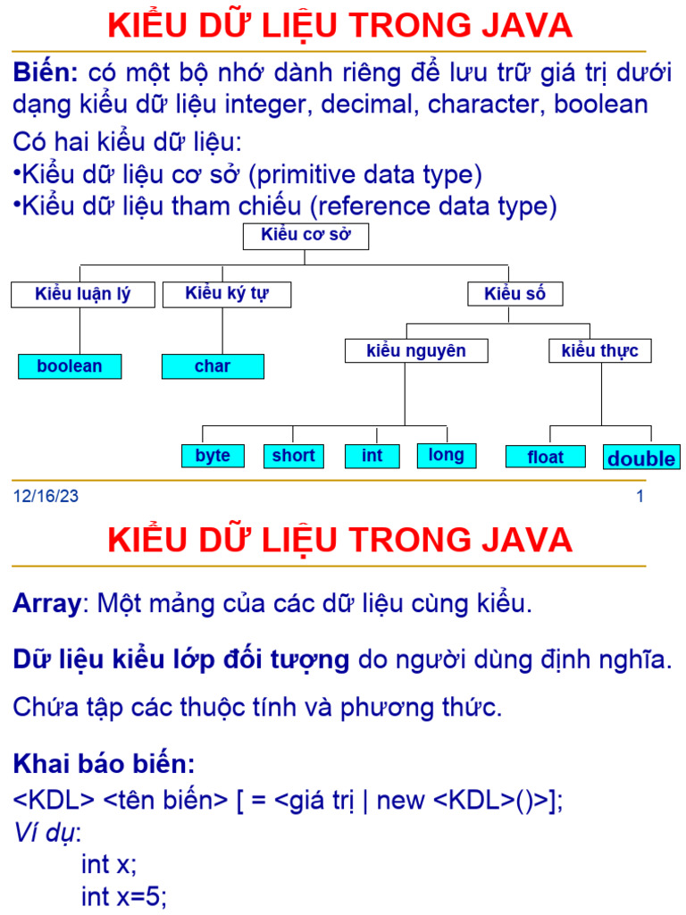 Lec 02 - BasisType | PDF