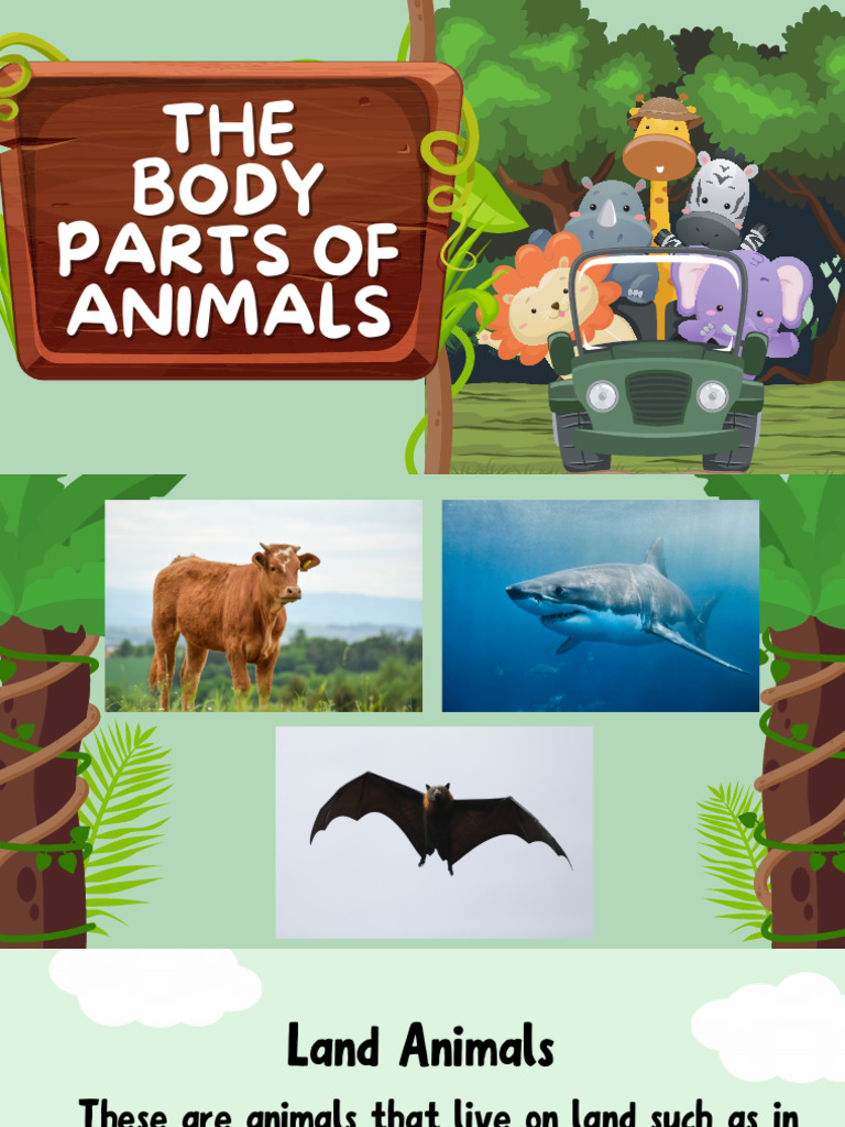 The Body Parts of Animals | PDF