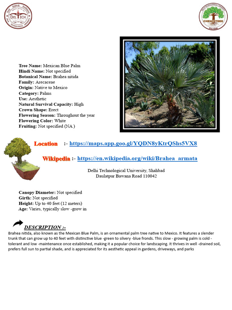 Office Tree 2 | PDF