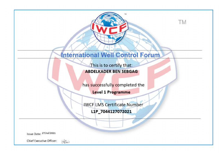 IWCF LeveL 1 | PDF