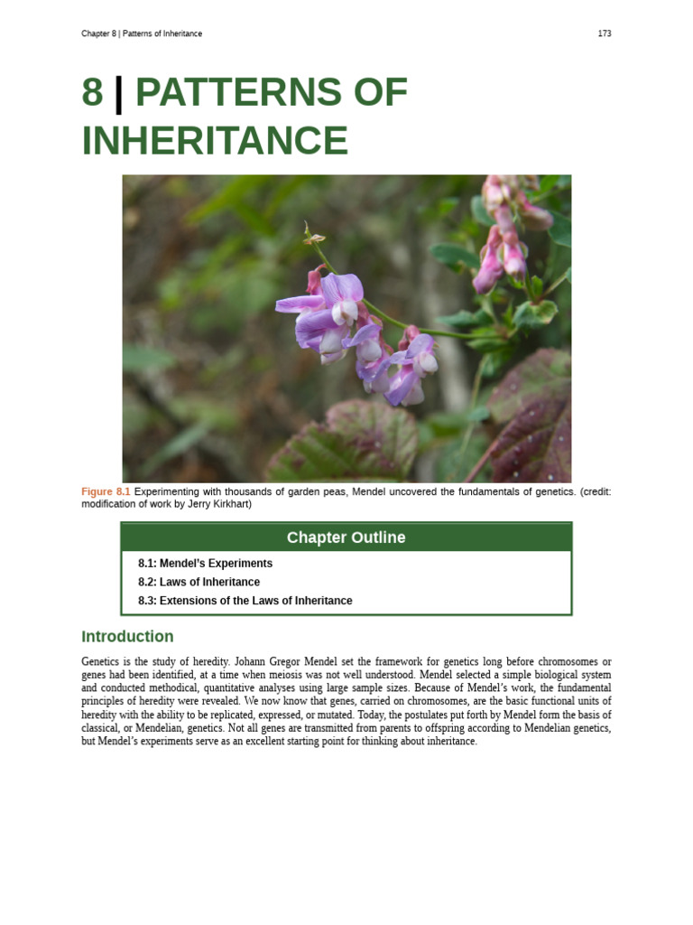 Inheritance Chapter | PDF | Dominance (Genetics) | Zygosity