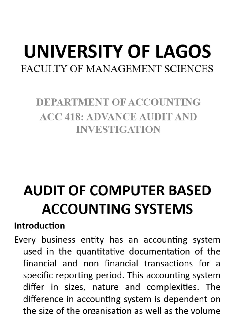 Audit of A Computerized Accounting System 2 | PDF | Audit | Accounting