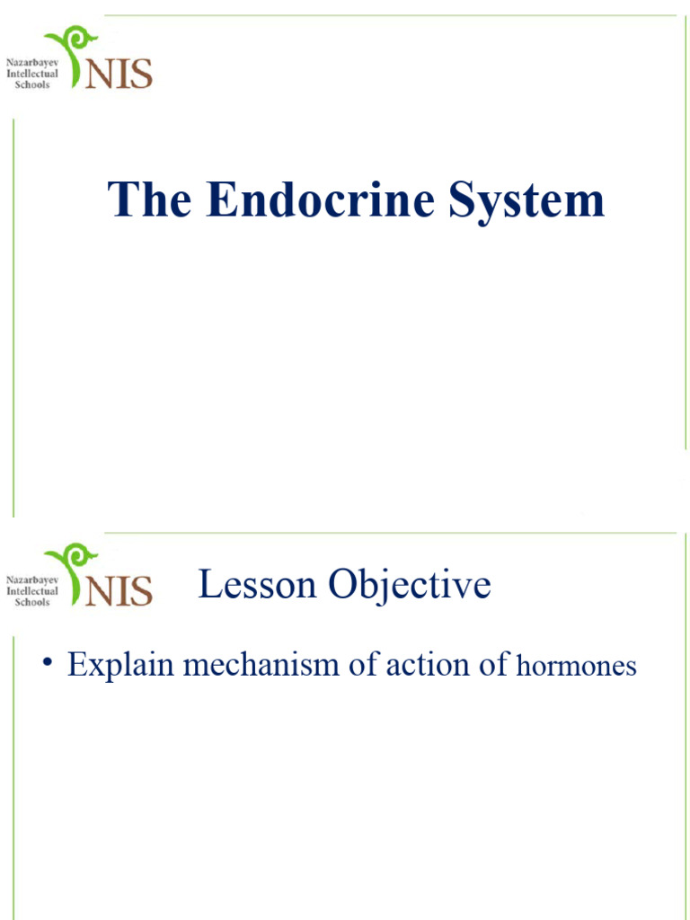 Hormone Mechanism | PDF | Hormone | Endocrine System