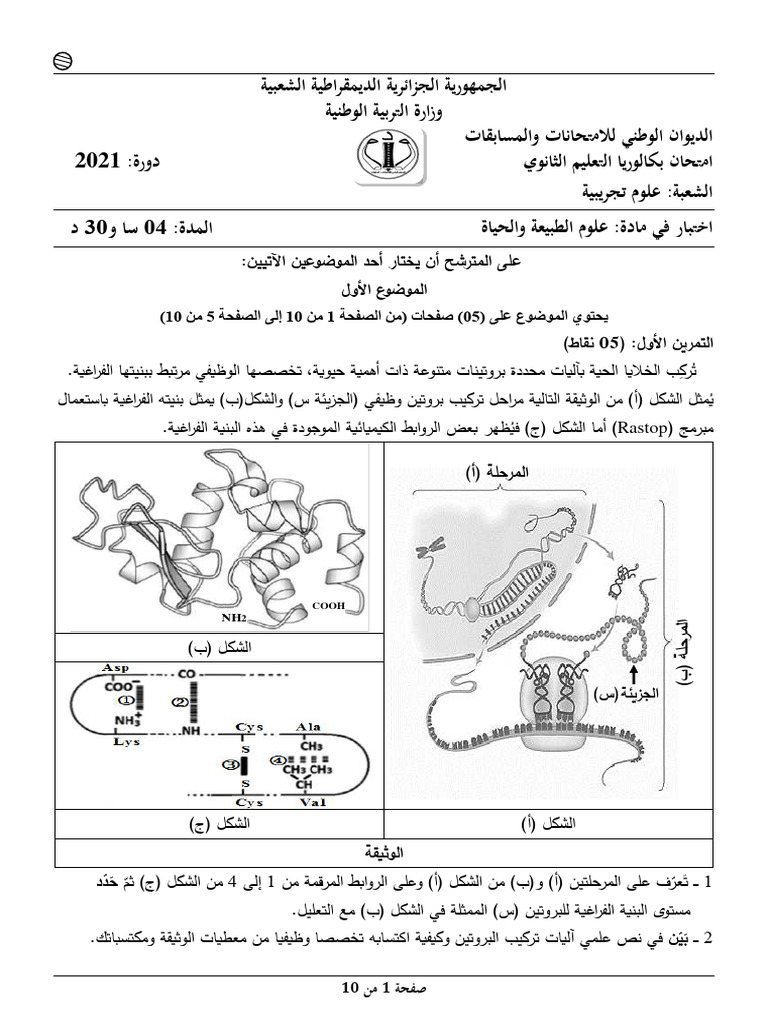 Bac Sciences | PDF