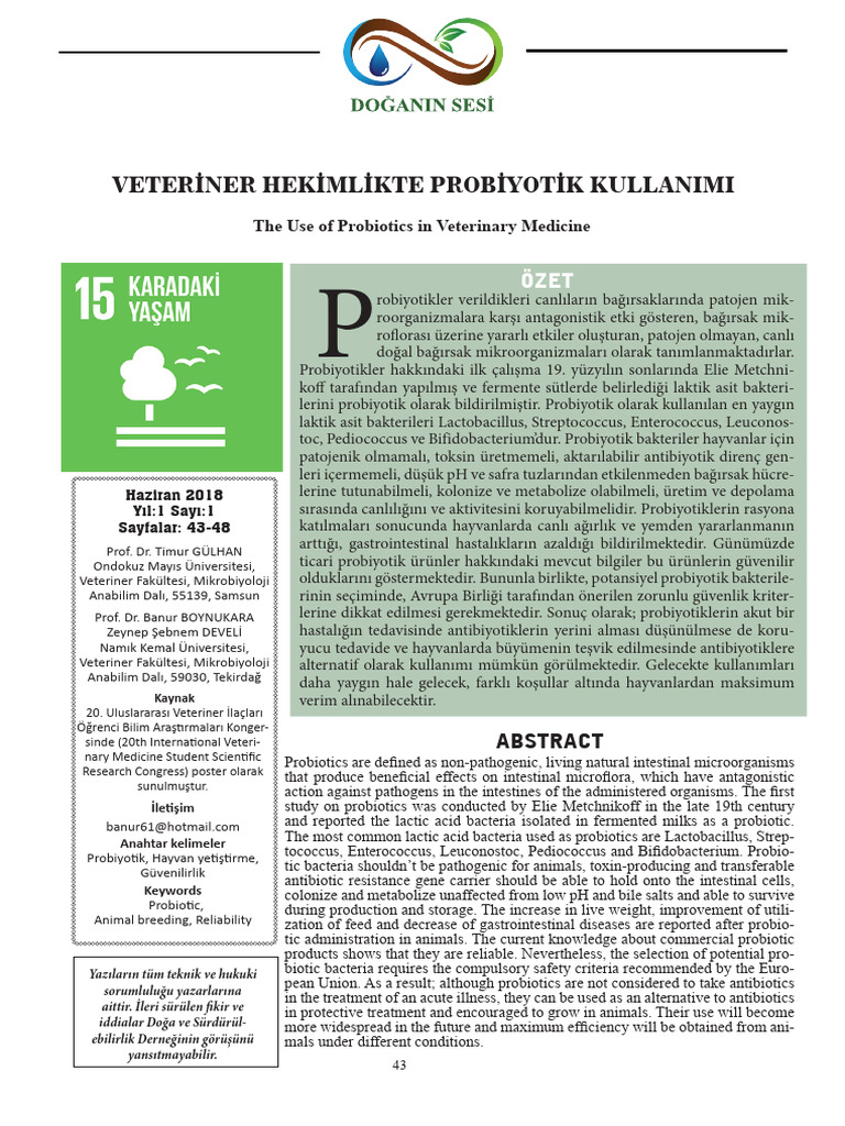 Veter - Ner Hek - ML - Kte Prob - Yot - K Kullanimi (#470017) - 621292 | PDF