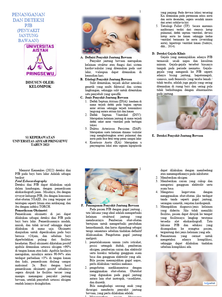 Leaflet PJB (1) - 1 | PDF