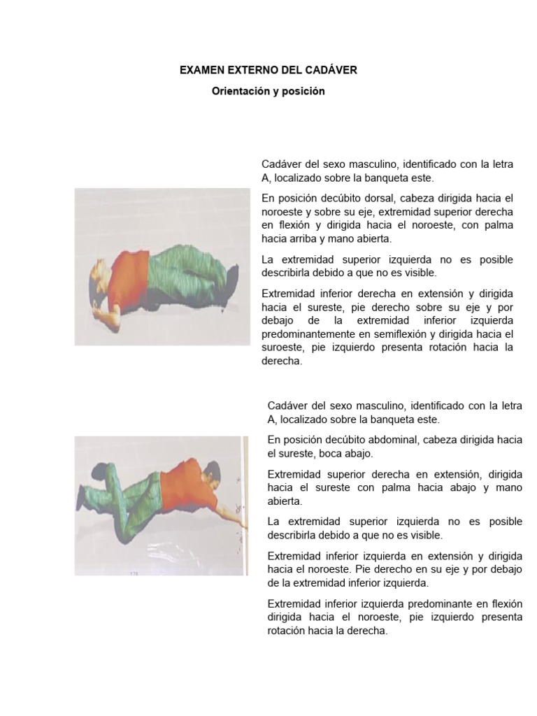 Examen Externo Del Cadáver | PDF | Mano