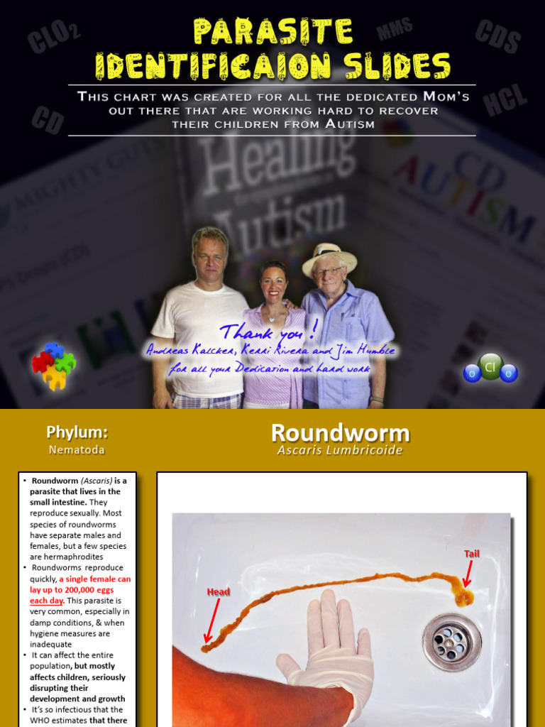 Parasite Identification Chart | PDF | Nematode | Clinical Medicine