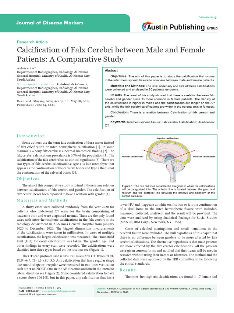 JDM v6 Id1040 | PDF | Corpus Callosum | Human Head And Neck
