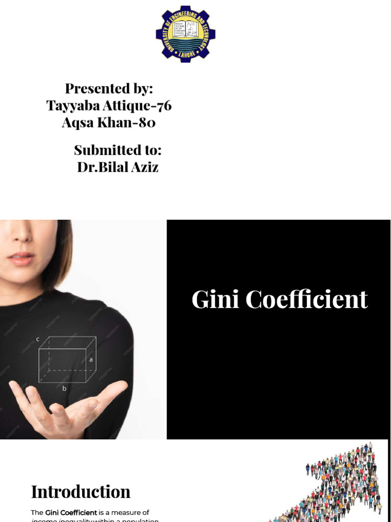 Understanding The Gini Coefficient | PDF