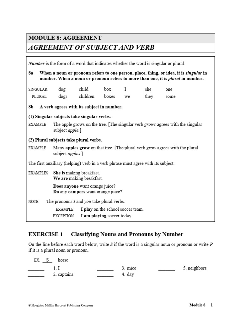 Grammar Booklet #2 | PDF | Grammatical Number | Grammatical Gender