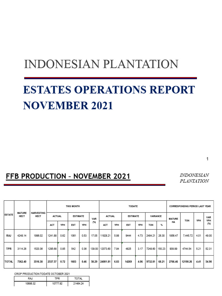Sumsel - RCCM Report November 2021 | PDF