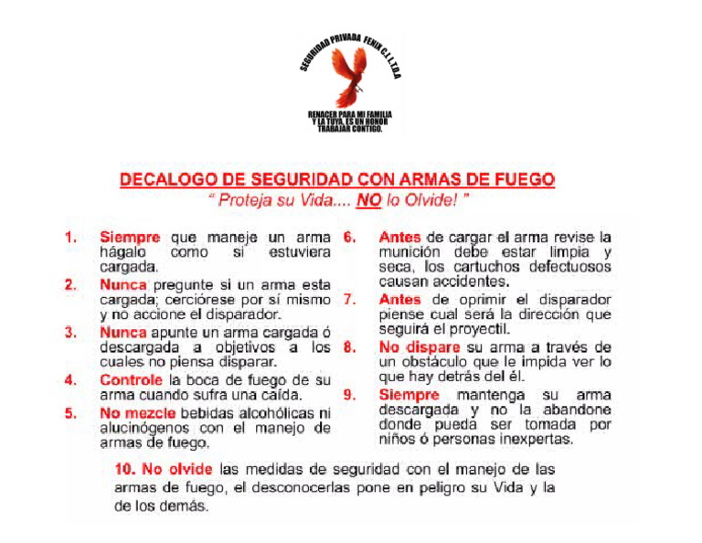 DECALOGO DE ARMAS FENIX | PDF