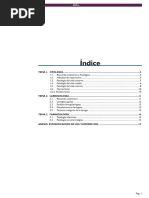 Protocolo Hints | PDF | Neuroimagen | Vértigo