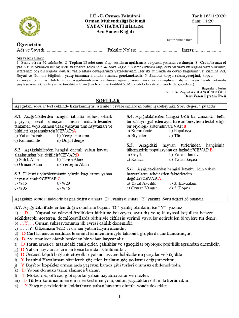 PDF SORU YABAN CEVAP | PDF