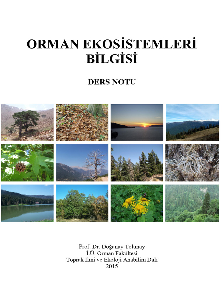 silo.tips_orman-ekosstemler-blgs-ders-notu | PDF