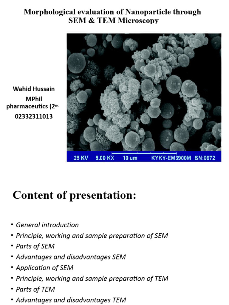 SEM Vs TEM Micros | PDF