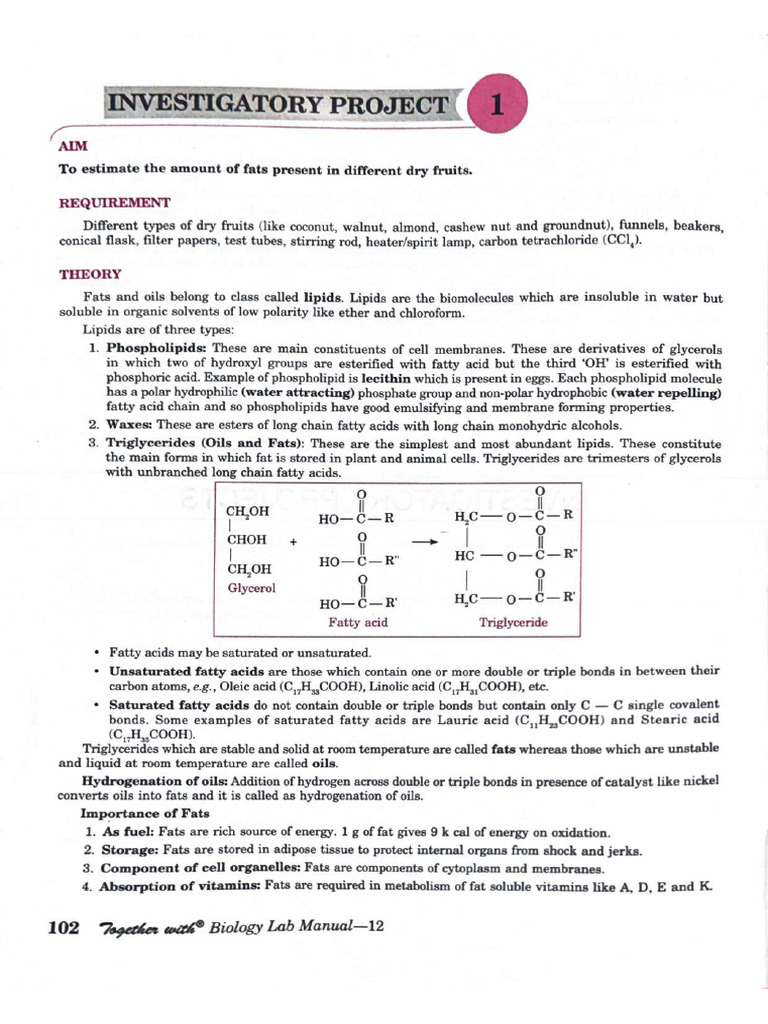 Class 12 Invegestory Project | PDF