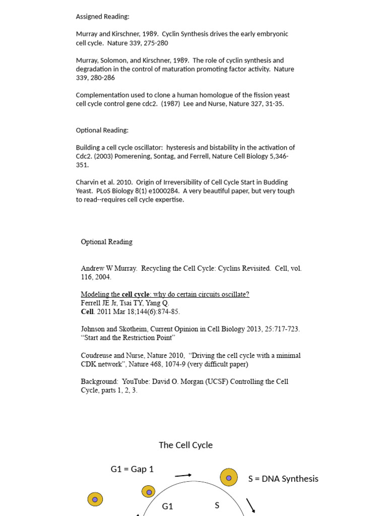 Cell Cycle 2023 - Nov28 - Tagged | PDF | Cell Cycle | Mitosis