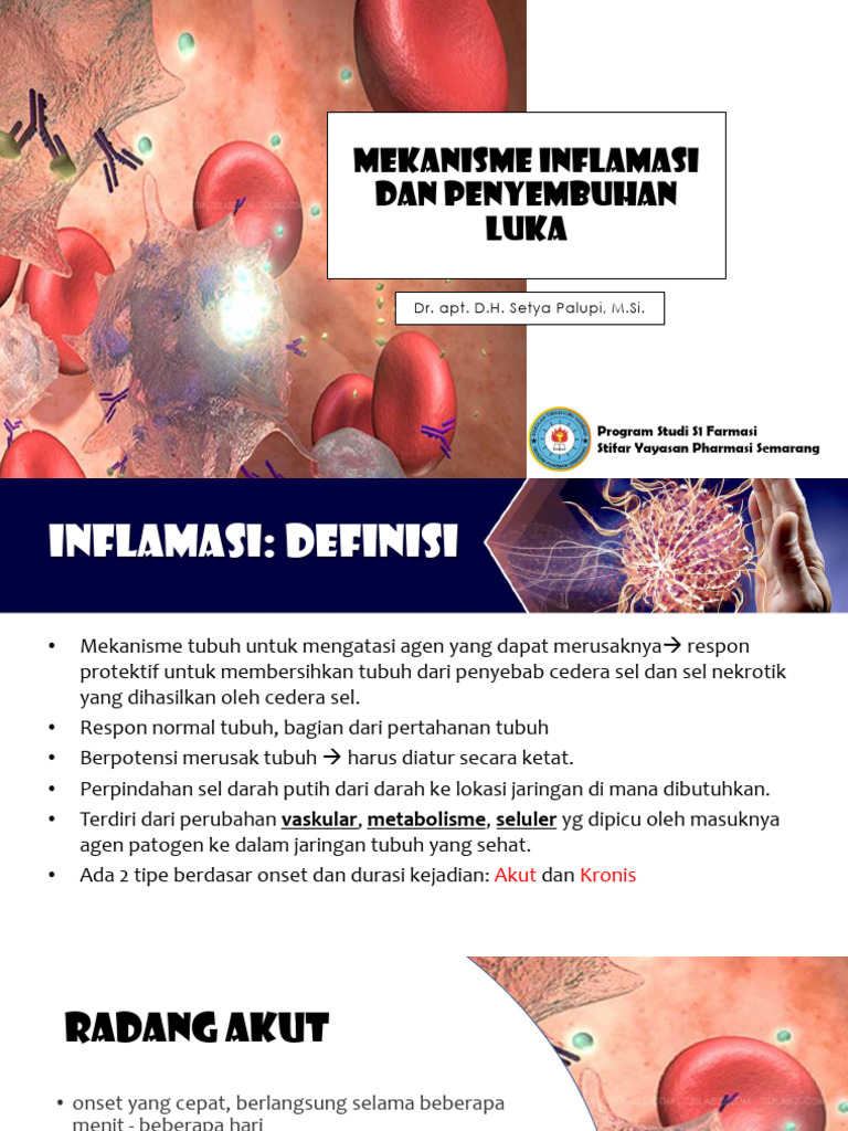 Mekanisme Inflamasi Dan Penyembuhan Luka - Bu Palupi (MTR UAS) | PDF