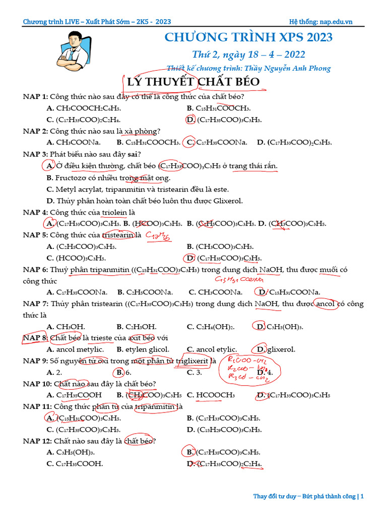 Lý thuyết chất béo | PDF