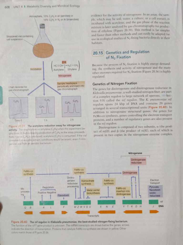 Unit 6 Answer 10 | PDF | Biochemistry | Chemistry