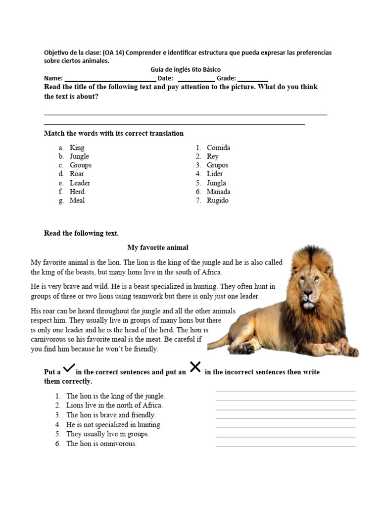 My Favorite Animal: The Lion | PDF