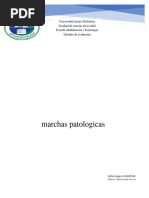 Marcha Steppage: Causas y Tratamiento | PDF | Electromiografia ...