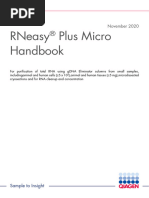 RNeasy Mini Kit Protocol Overview | PDF