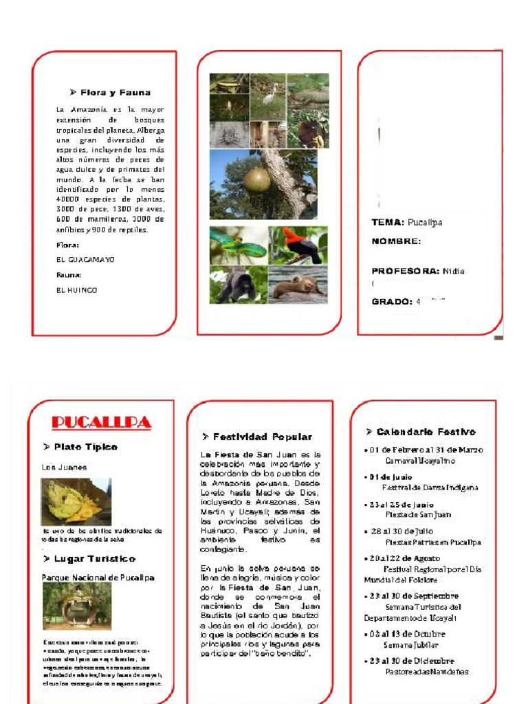 Triptico de Pucallpa 01 | PDF