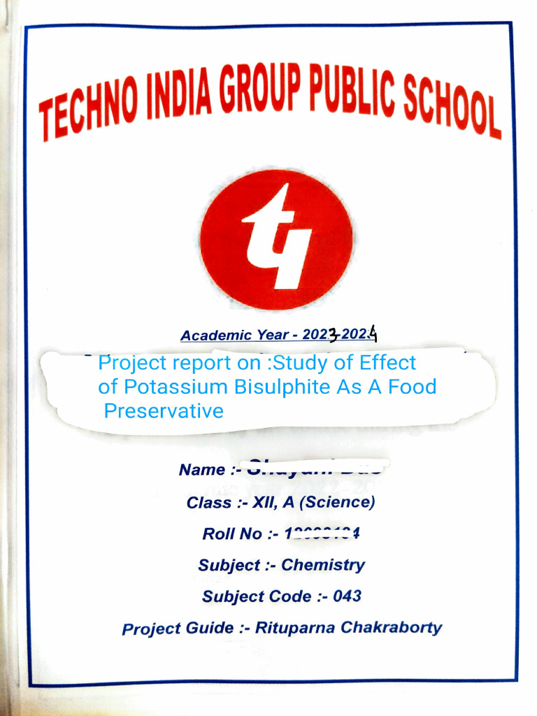 Class XII Chem Investigatory Project | PDF | Food Preservation | Food ...