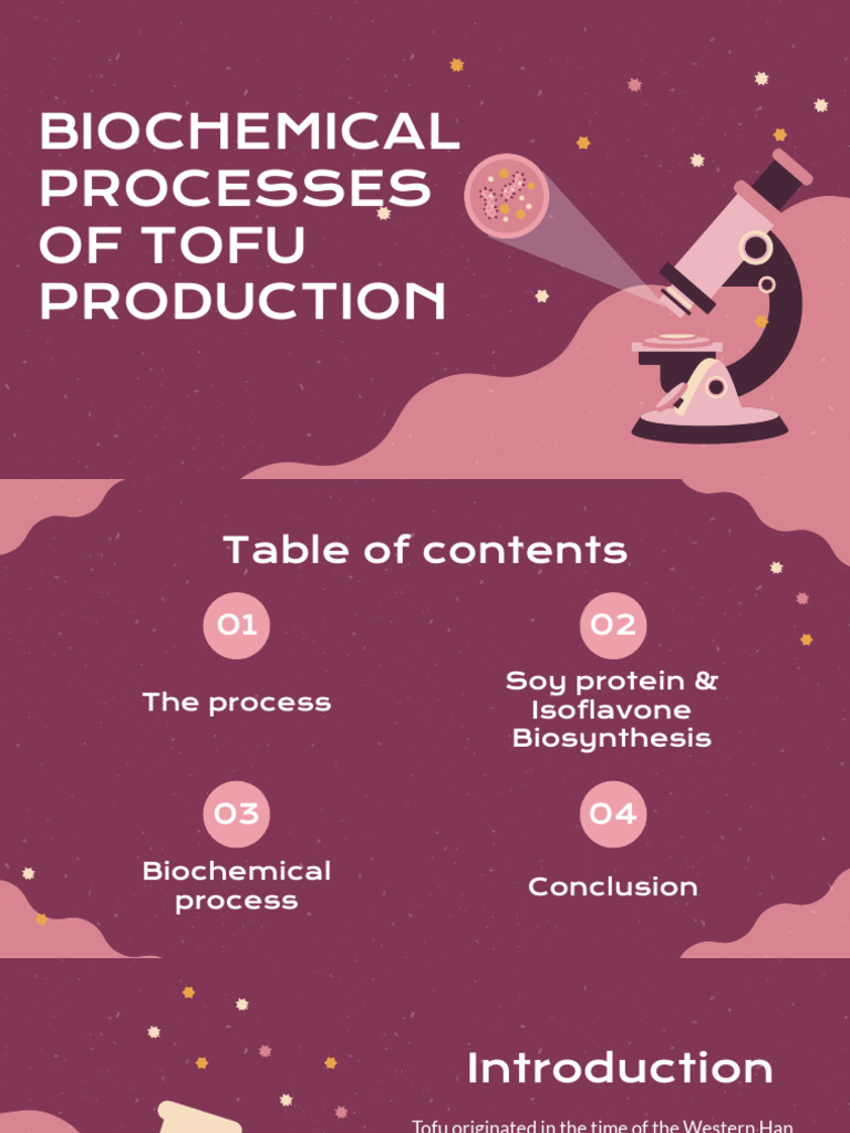 Biochemical Processes in Tofu Production | PDF | Tofu | Soybean