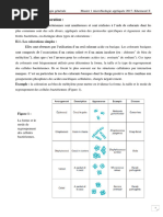 Sporulation et structure des spores bactériennes | PDF | Spore | Biologie
