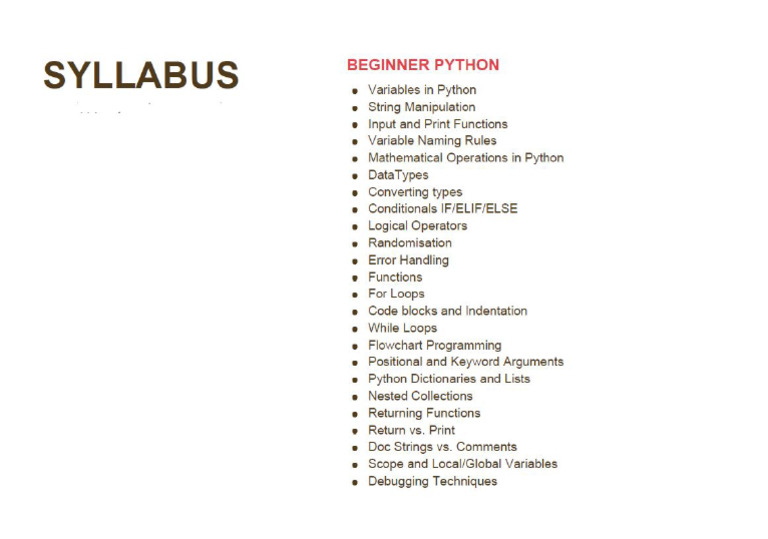 Python Basics Syllabus | PDF