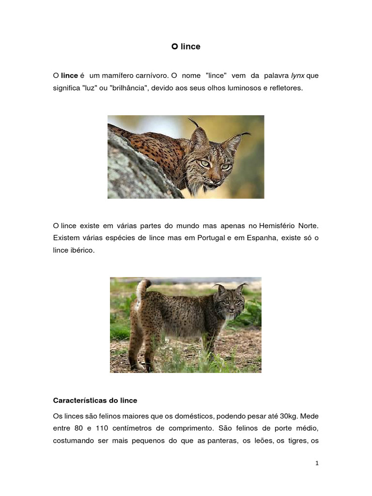 O Lince | PDF