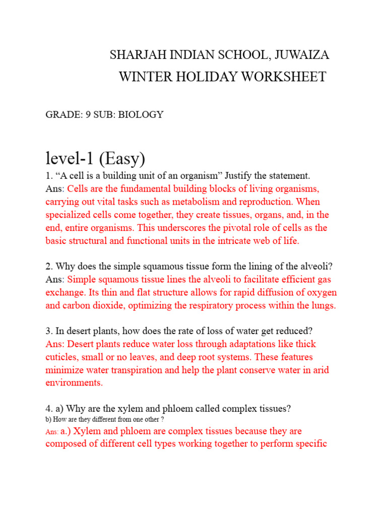 Bio Holiday Homework | PDF | Tissue (Biology) | Neuron