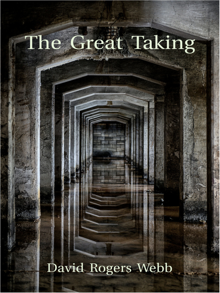 THE GREAT TAKING - LA GRAN TOMA - David Rogers Webb - ESP | PDF | Mente | Business