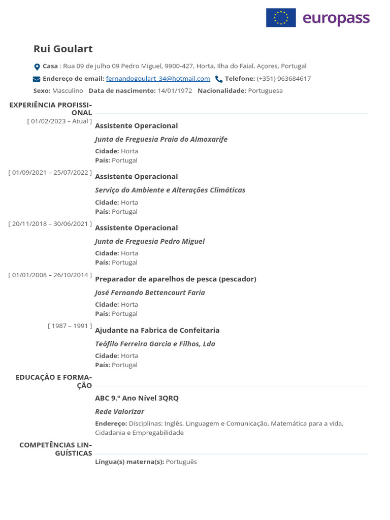 CV - Rui Goulart | PDF