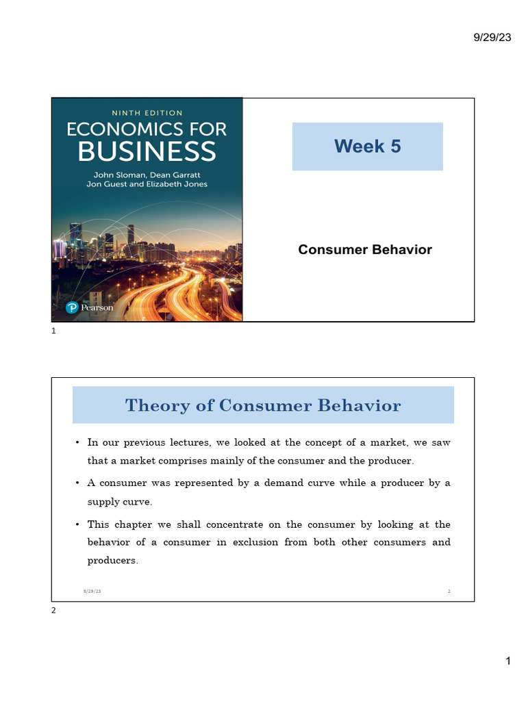 Lecture 5 Consumer Behavior Download Free Pdf Utility Economics