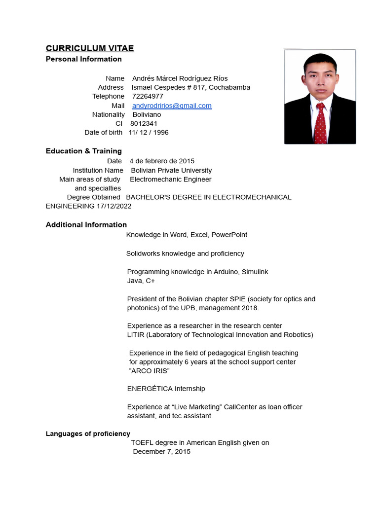 CURRICULUM VITAE English EXAMPLE | PDF