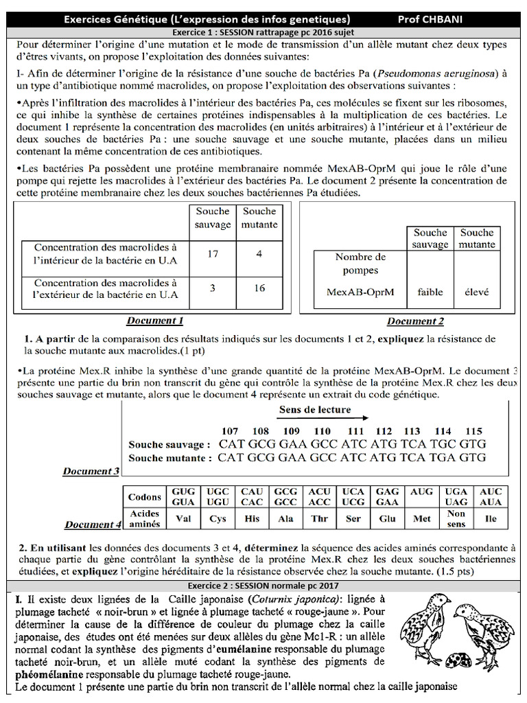 Exercices Genetique New | PDF
