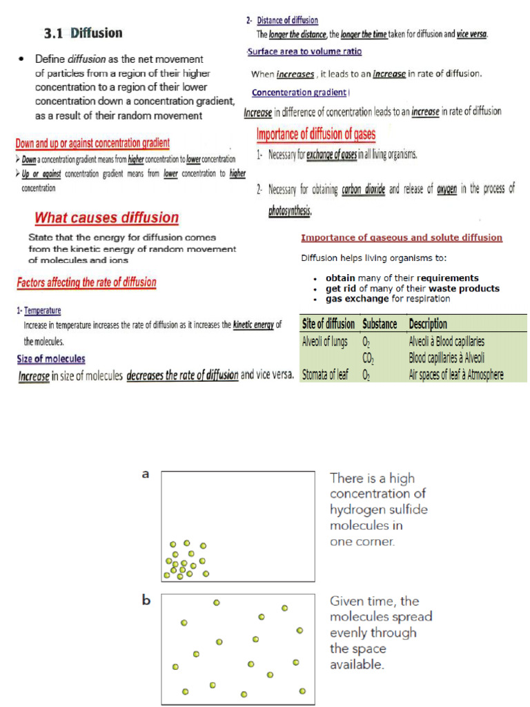 BIO IGCSE lessons | PDF