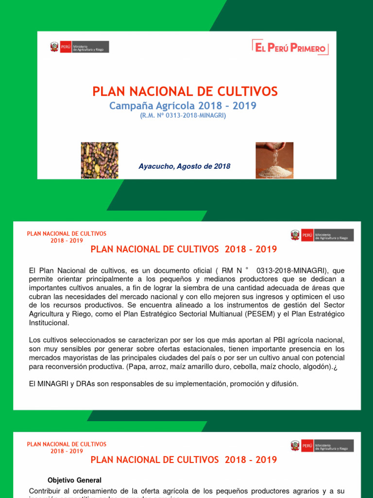 Plan Nacional de Cultivo Ayacucho y Peru Minagre | PDF