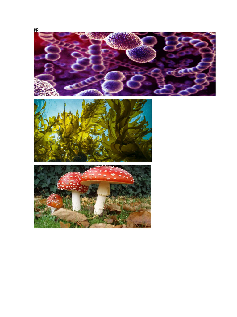 biologia-pdf
